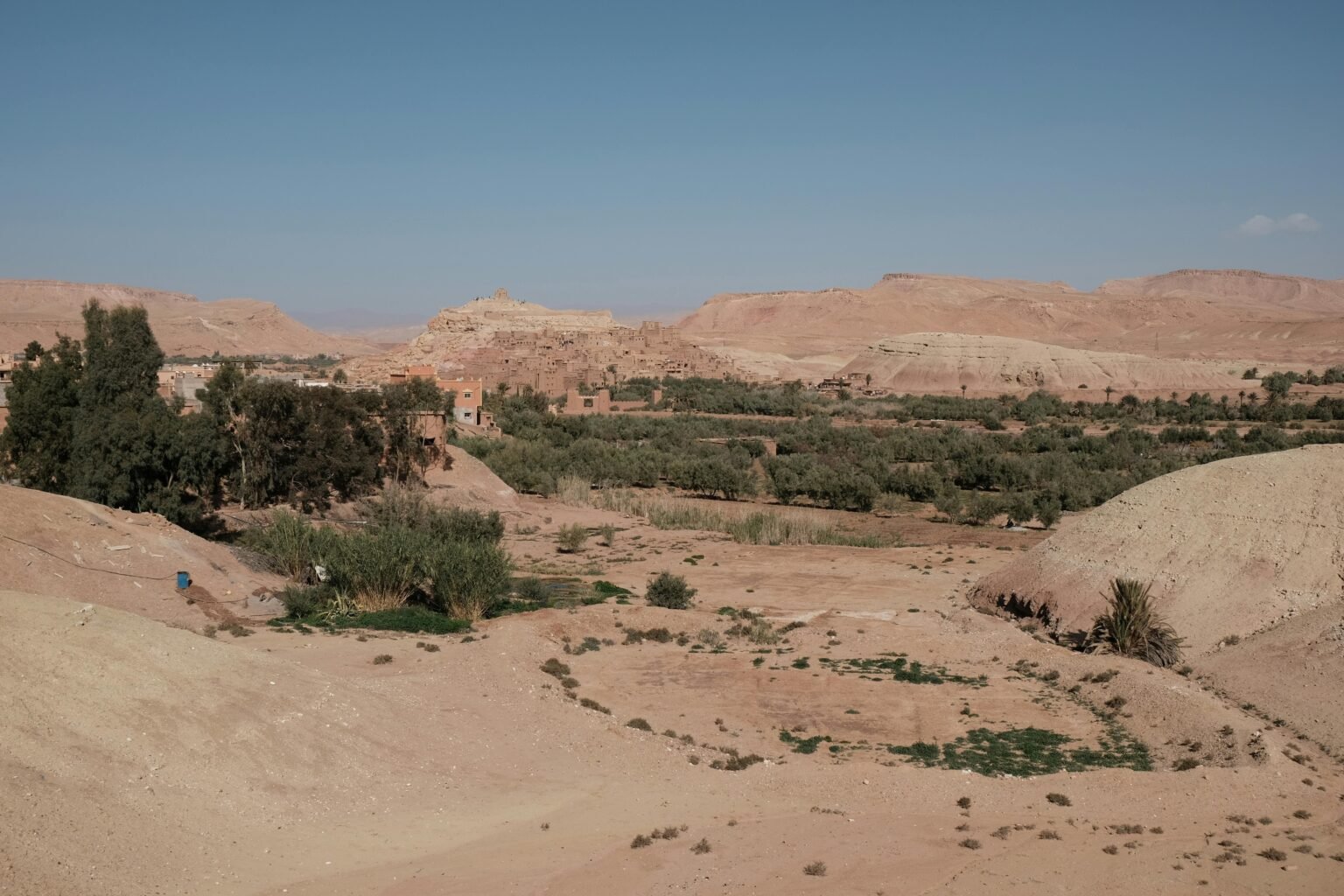 Oasis Discovery Guides: Master Desert Safaris Today